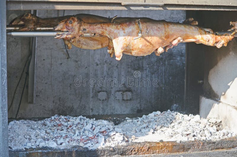 Grilled lamb. roasted lamb stock photo. Image of crust - 127193508