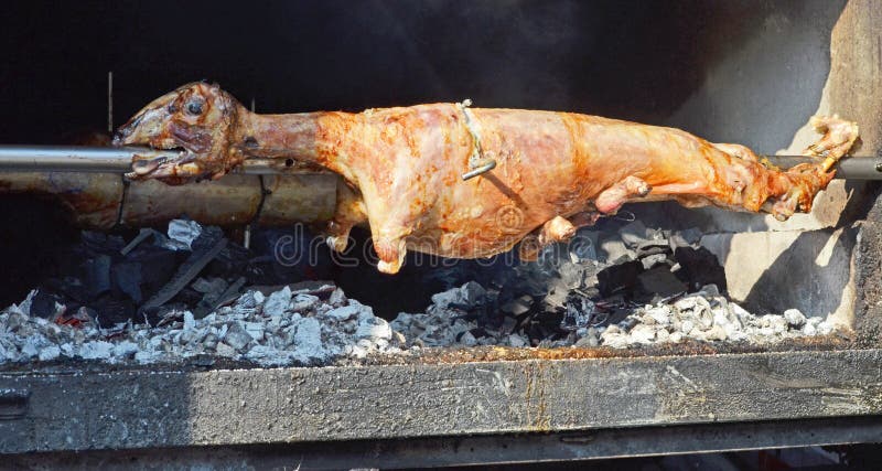 Grilled lamb. roasted lamb stock photo. Image of meat - 127193712