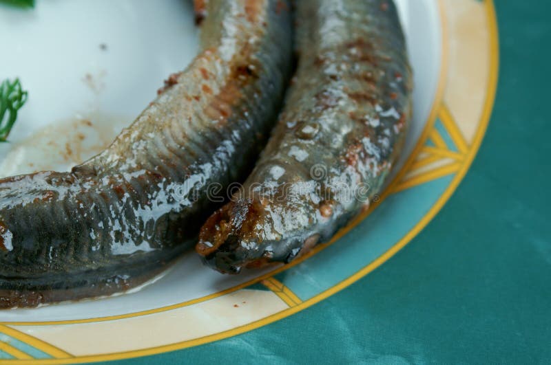 Grilled lamprey stock photo. Image of specific, lamprey - 49411328