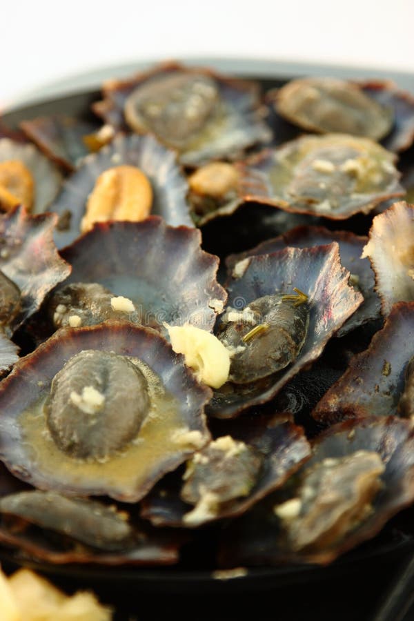 Grilled Limpets stock photo. Image of dinning, madeira - 26976054