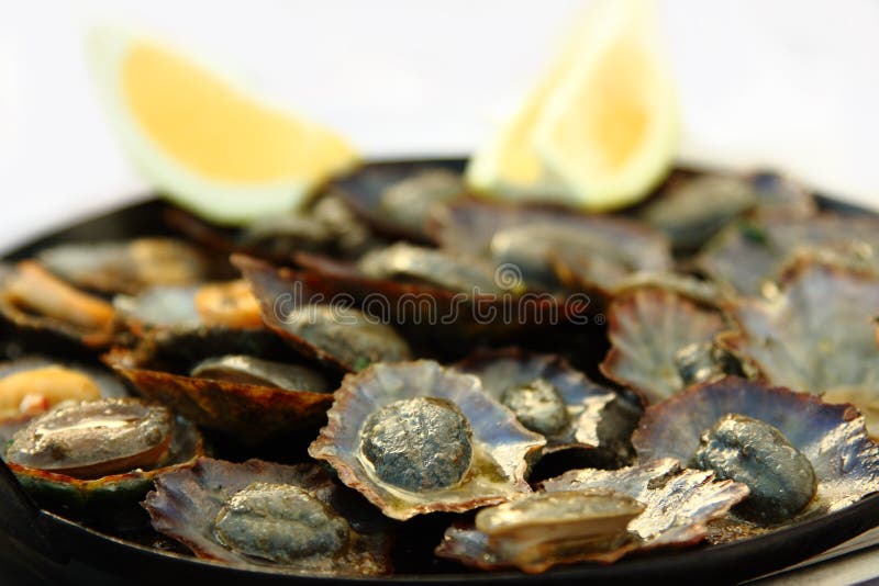 Grilled Limpets stock photo. Image of butter, grilled - 26976068
