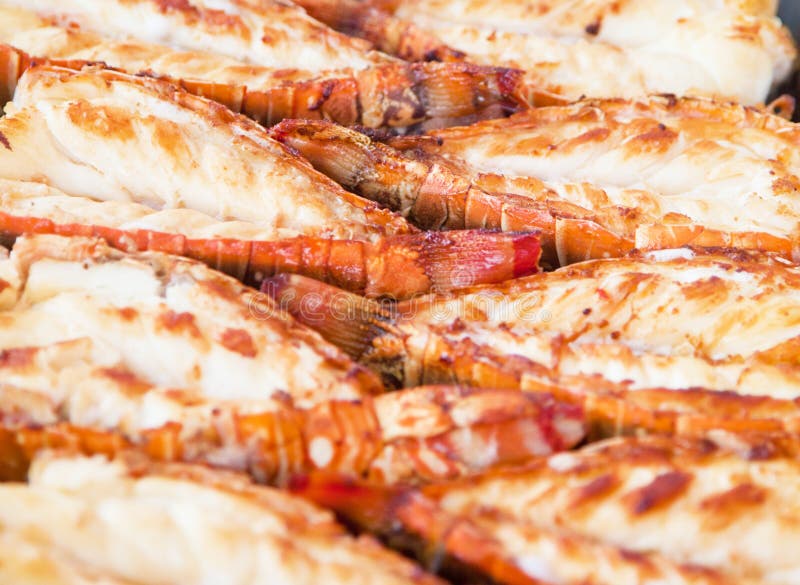 Grilled lobster stock image. Image of camping, fire, lobster - 28561541