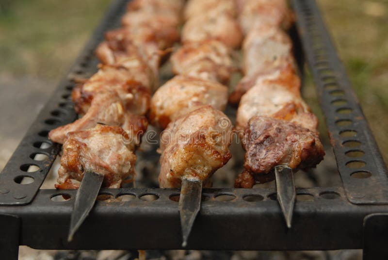 Grilled meat stock photo. Image of dinner, kebabs, foods - 11521556