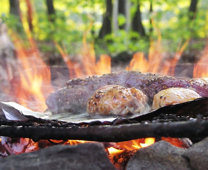 Grilled meat stock image. Image of cook, barbecue, detail - 3995761