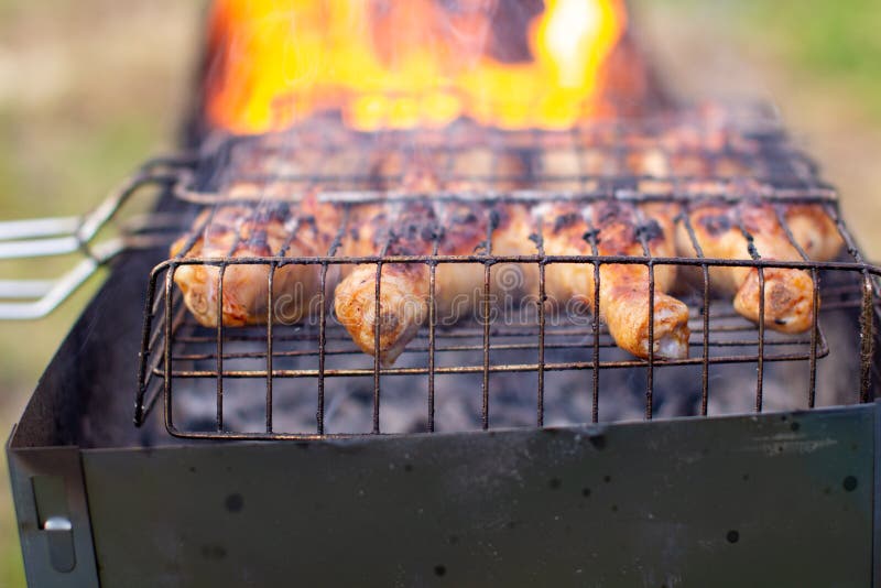 Grilled Meat in a Barbecue with Fire and Coals. Fry in Nature Stock ...