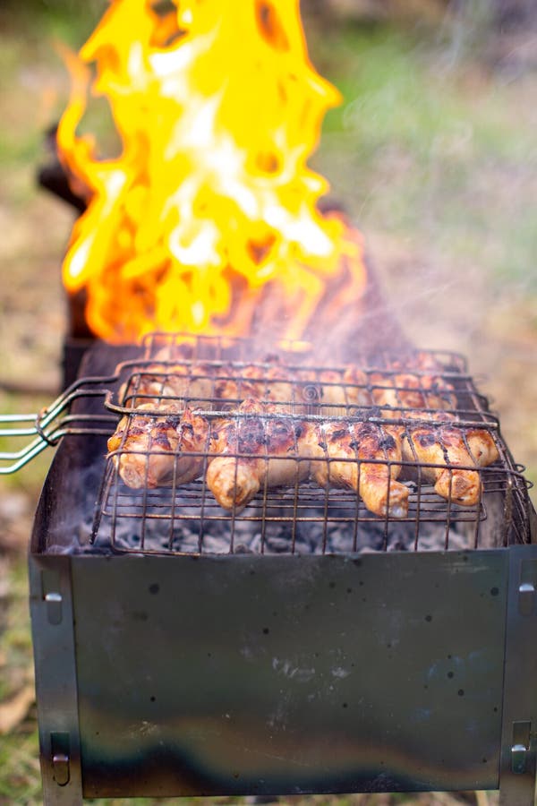 Grilled Meat in a Barbecue with Fire and Coals. Fry in Nature Stock ...