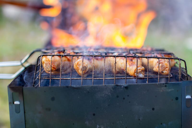 Grilled Meat in a Barbecue with Fire and Coals. Fry in Nature Stock ...