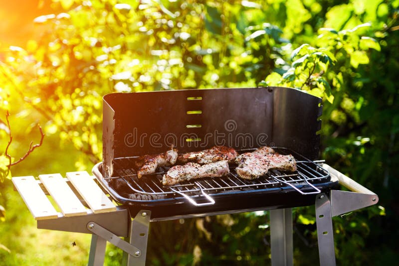 Grilled Meat, Barbecue. Spring Time Stock Photo - Image of herb ...