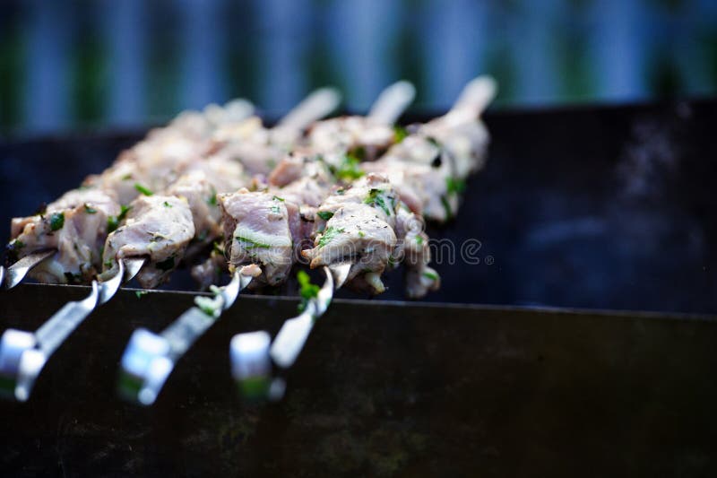 Grilled Meat, Barbecue. Summer Time Stock Photo - Image of beef ...