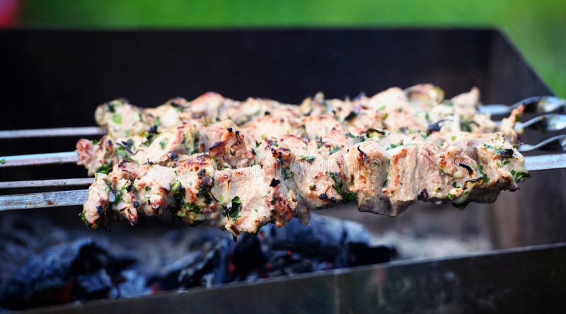 Grilled Meat, Barbecue. Summer Time Stock Photo - Image of board ...