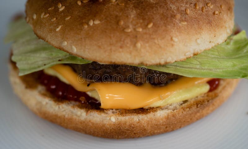 Spicy grilled meat stock photo. Image of bone, crusty - 259248552