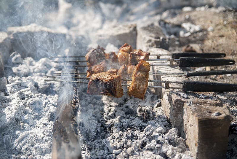 Grilled Meat Coals and Logs Stock Image - Image of green, exploding ...