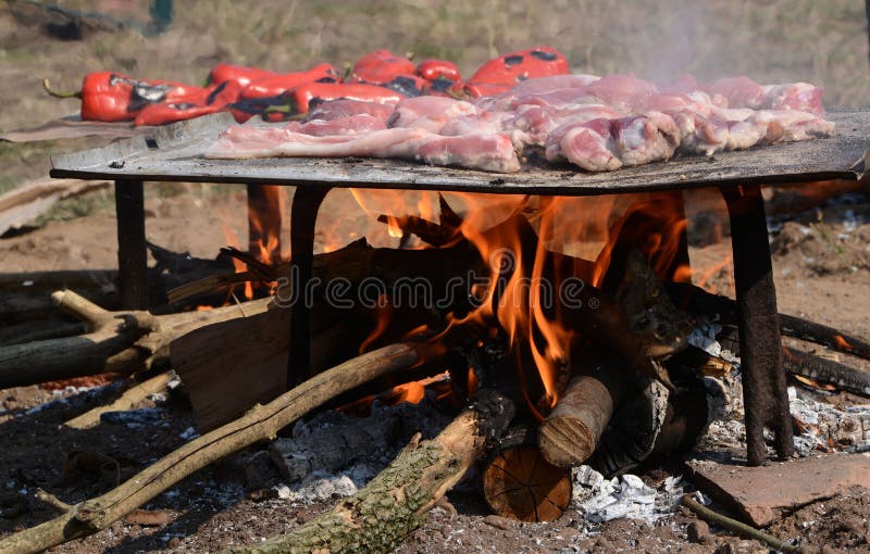 Grilled Meat on Fire September 2, 2016 Stock Image - Image of copy ...
