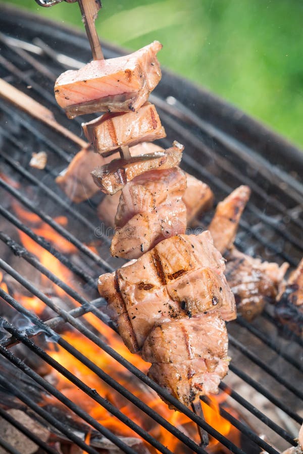 Grilled meat stock photo. Image of grilling, kebab, bird - 41360446