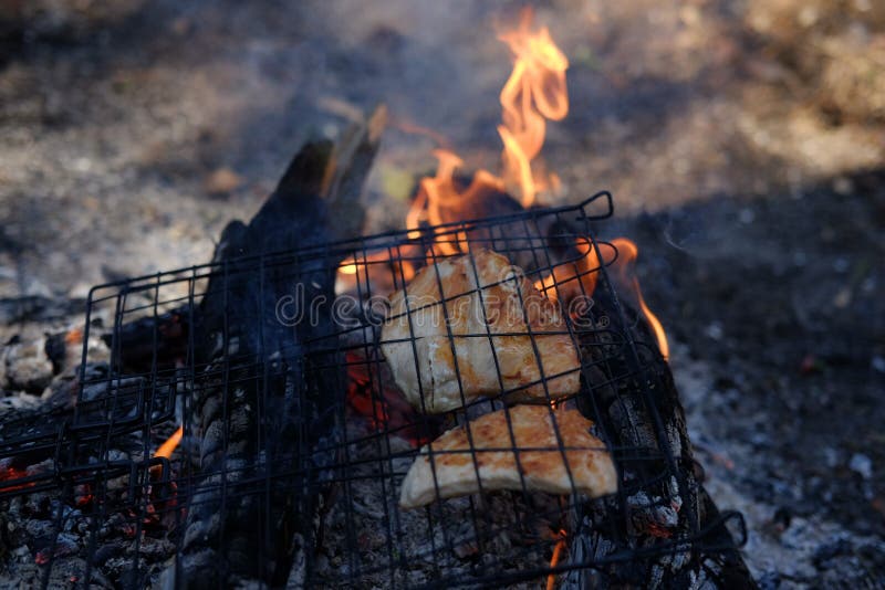 Cooking meat on a fire. stock photo. Image of frame - 106956448
