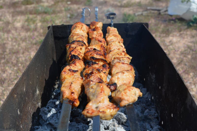 Grilled meat over a fire stock image. Image of skewer - 53920293