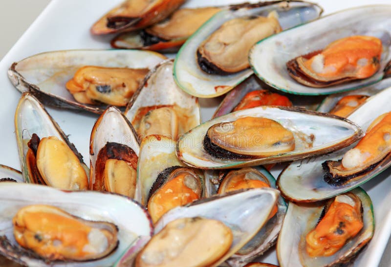 Grilled Mussels stock image. Image of barbeque, shell - 15389015