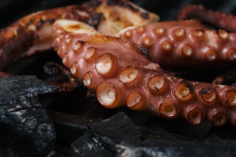 Octopus grill bbq stock photo. Image of menu, gourmet - 121894052