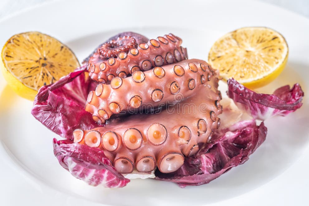 Grilled Octopus with lemon stock image. Image of garlic - 341955455