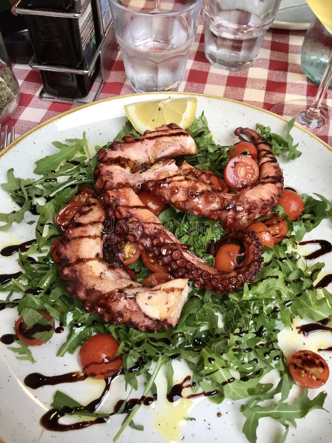 Grilled Octopus on a plate stock photo. Image of salad - 165919688