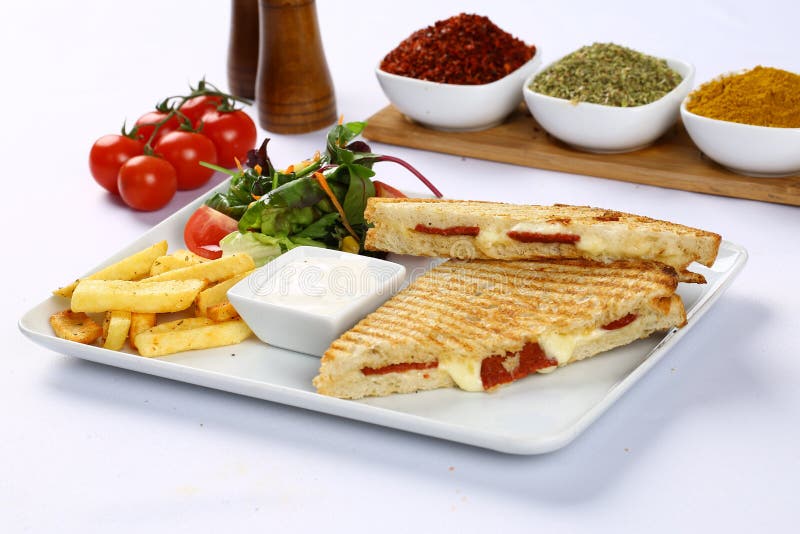 Grilled Panini stock image. Image of dieting, closeup - 96668423