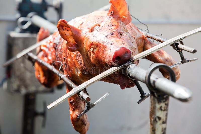 Pigling stock photo. Image of cooking, broil, sucking - 17598288