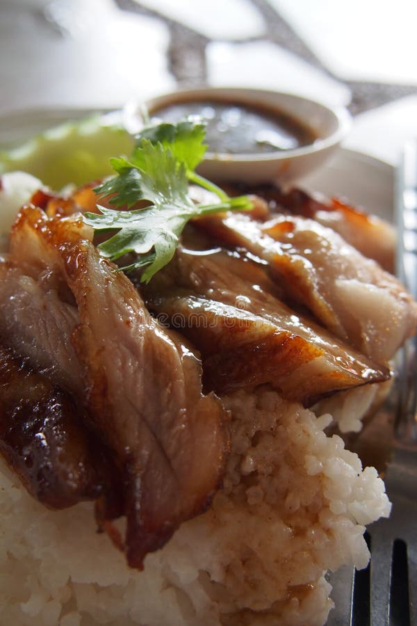 Grilled pork with rice stock photo. Image of grilled - 45029698