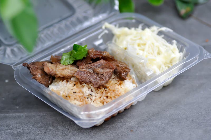 Grilled Pork or Roasted Pork with Rice Stock Image - Image of deep ...