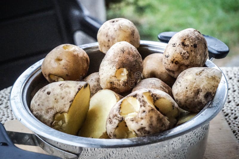 Grilled Potatoes in Silver Pot Stock Photo - Image of grill, cooked ...