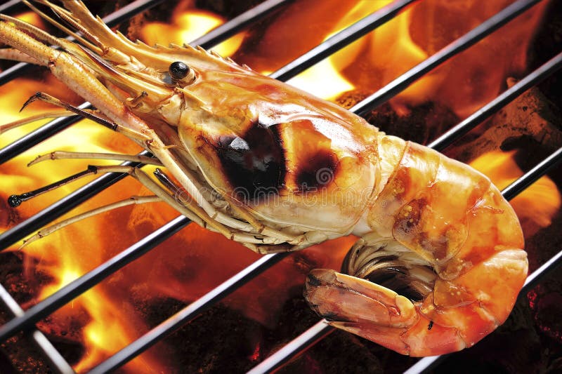 Grilled prawn stock image. Image of shrimp, ocean, steak - 26550631