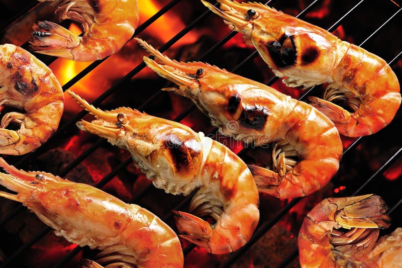 Grilled prawns stock photo. Image of meat, prawn, charcoal - 26550654