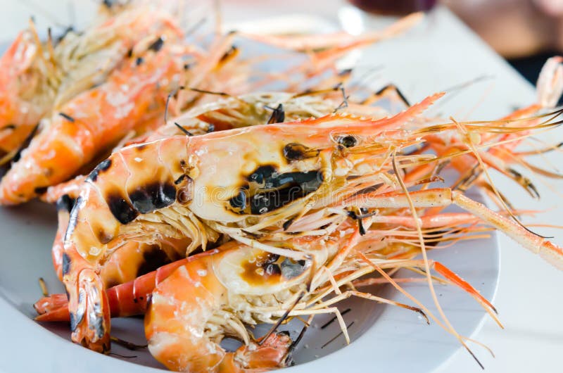 Grilled prawns stock photo. Image of prawn, plate, appetizers - 27860314