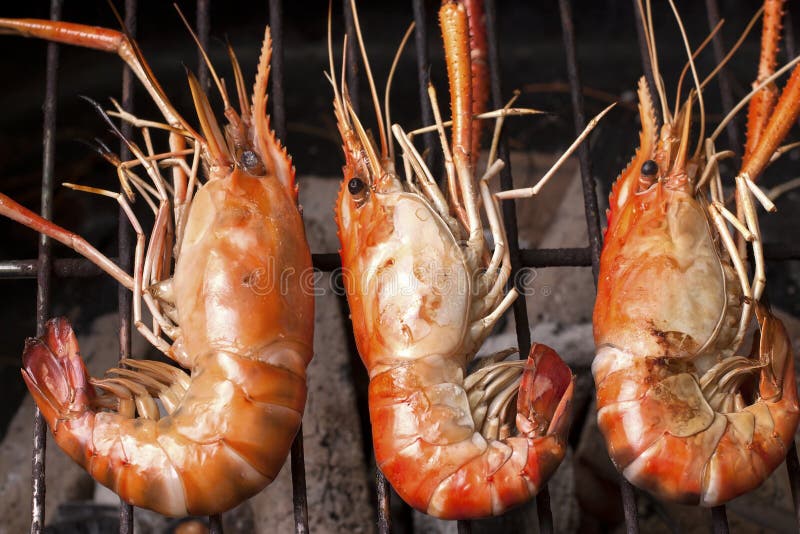 Grilled Prawns stock image. Image of prawn, shrimp, cooking - 35358229