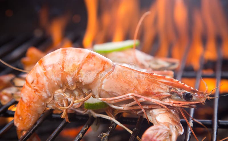 Grilled prawns stock photo. Image of gourmet, nutrition - 32383024