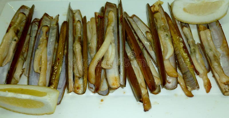 Grilled razor clams stock photo. Image of razor, mediterranean - 45938496
