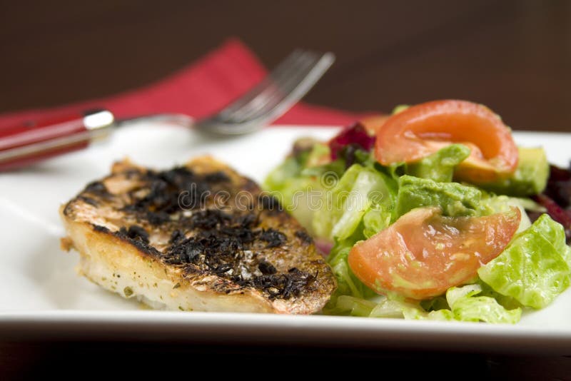 Grilled Red Snapper stock photo. Image of seasonings - 14437228