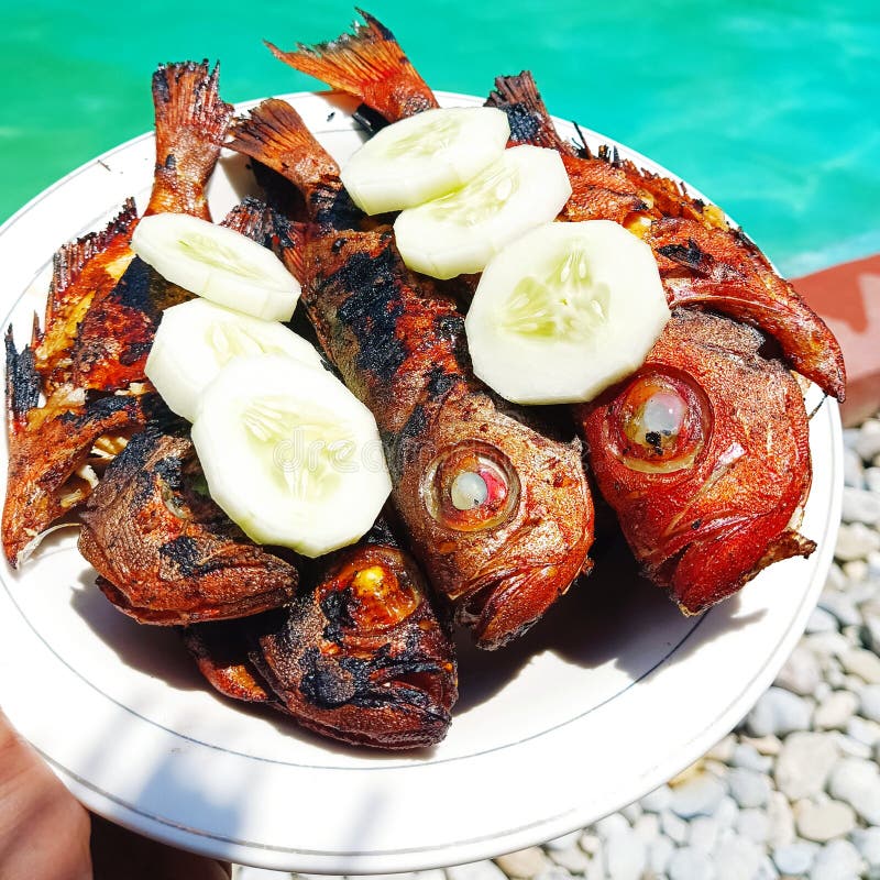 Grilled Red Snapper Fish is Still Fresh, Which is Grilled on the Edge ...
