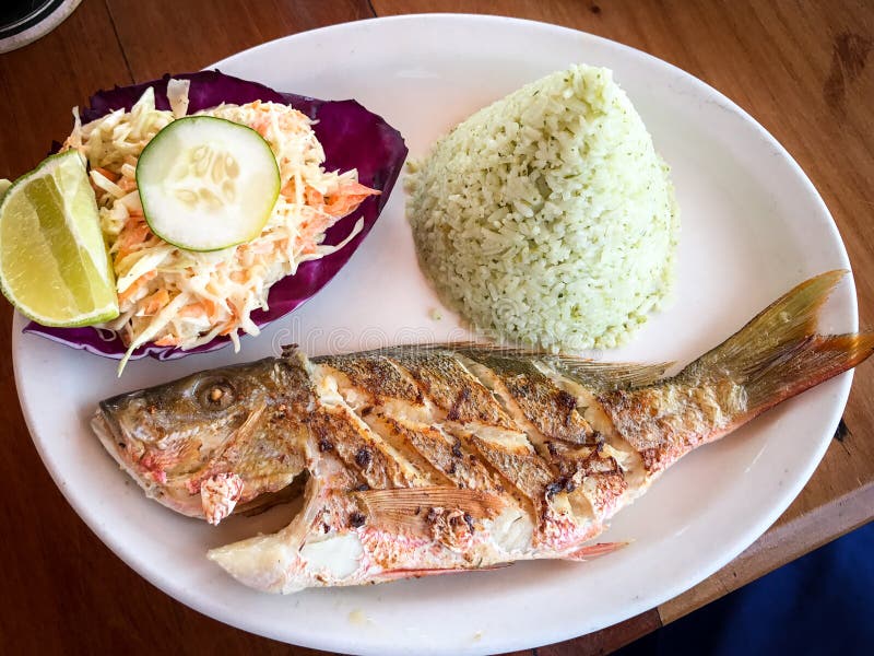 Grilled Red Snapper with Rice and Cole Slaw. Stock Photo - Image of ...