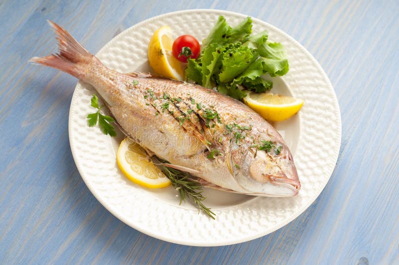 Grilled Red Snapper with Salad Stock Photo - Image of dive, dish: 13893646
