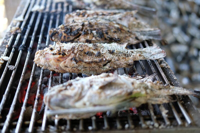 Grilled Roasted Tilapia Fish with Salt Stock Image - Image of grilled ...