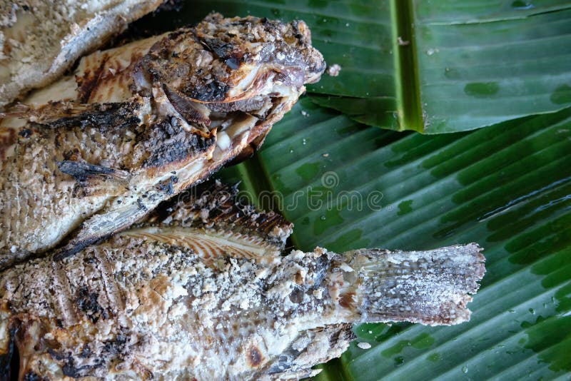 Grilled Roasted Tilapia Fish with Salt Stock Image - Image of grill ...