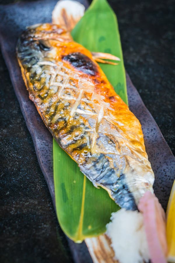 Grilled saba fish stock image. Image of dish, seafood - 91697095
