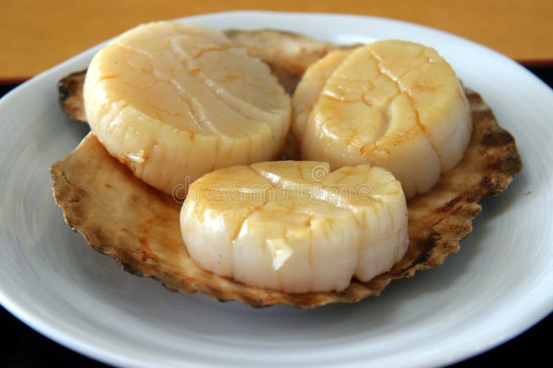 Grilled Scallops on shell stock photo. Image of salty - 14754384