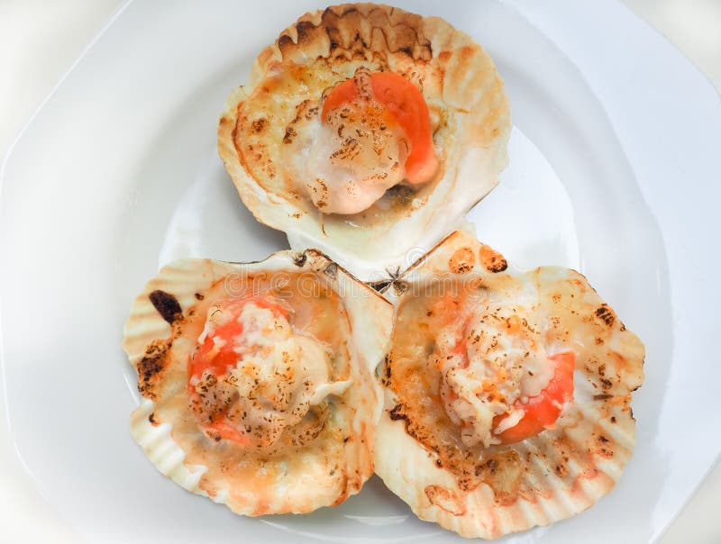 Grilled Scallops Shell with Butter and Cheese. Stock Image - Image of ...