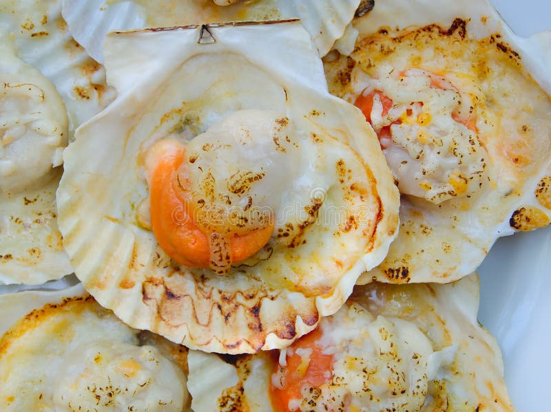 Grilled Scallops Shell with Butter and Cheese. Thai Seafood Grilled ...