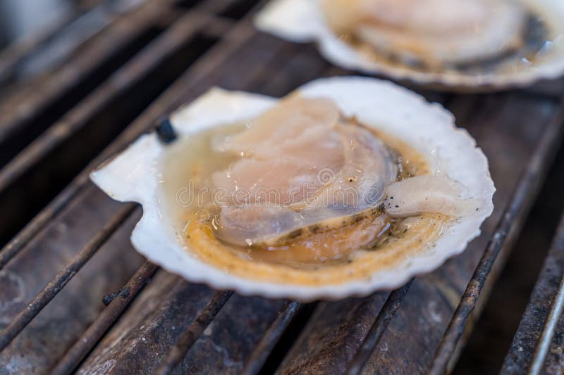 Grilled Scallops Shell with Cheese and Garlic. Cooked Scallops with ...