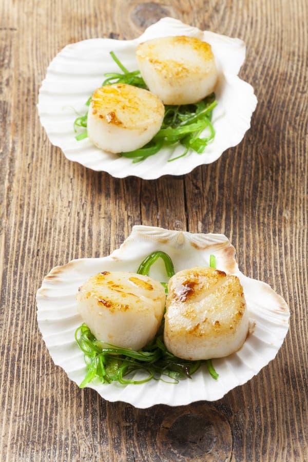 Scallops stock image. Image of meal, jakob, cooking - 103178965