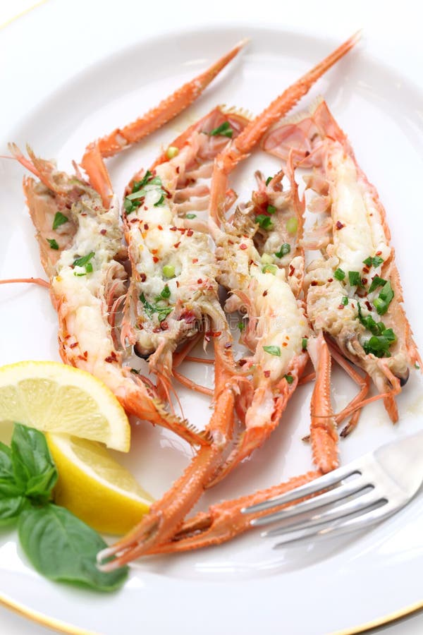 Raw scampi stock image. Image of crustacean, japanese - 33757587