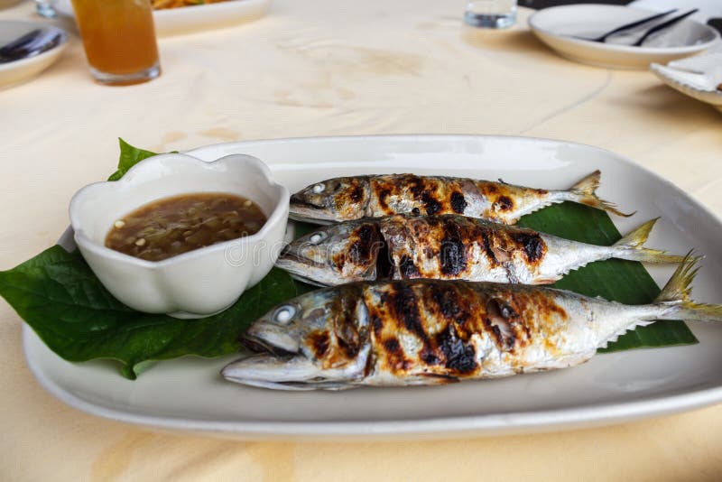 Grilled scomber fish stock image. Image of healthy, iron - 27428149