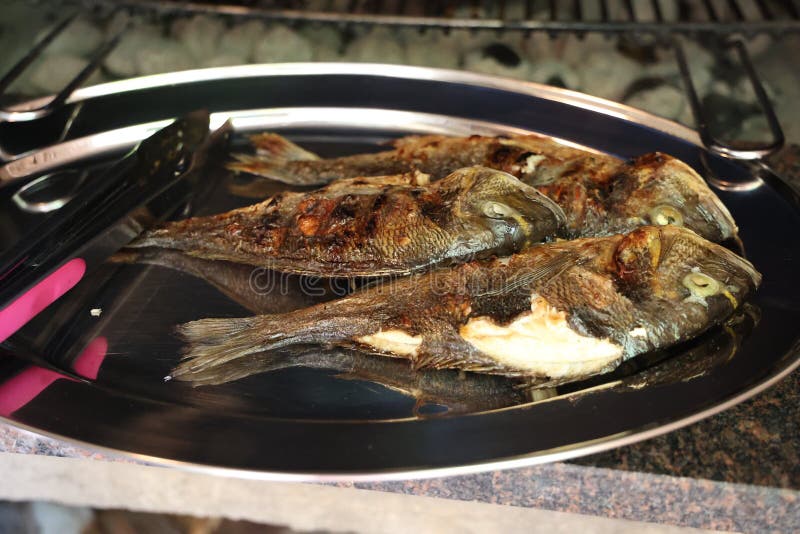 Grilled Sea Fish Stands on the Table Stock Image - Image of shrimp ...